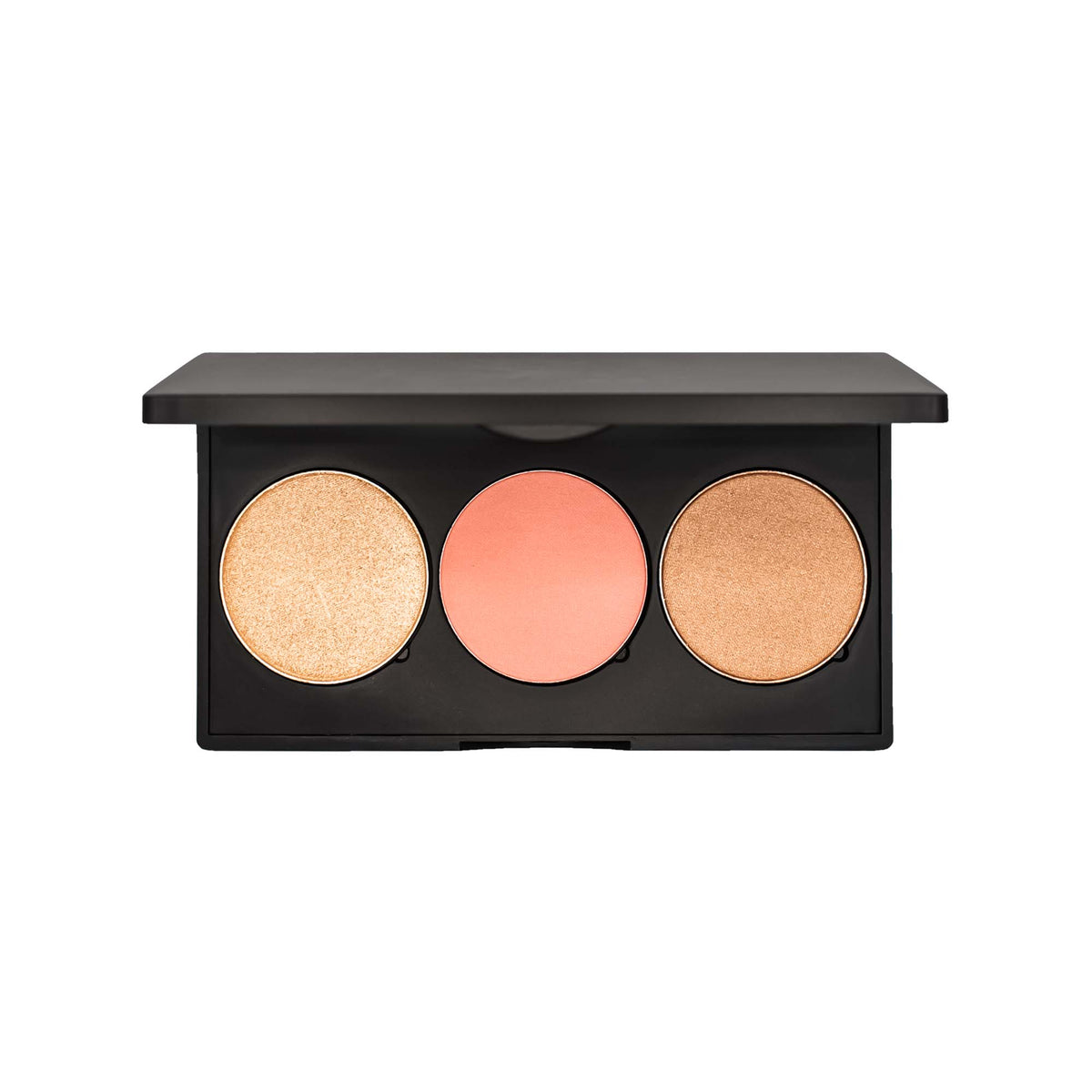 Pro Cheek Palette - Watermelon – A.M.J. BOUTIQUE